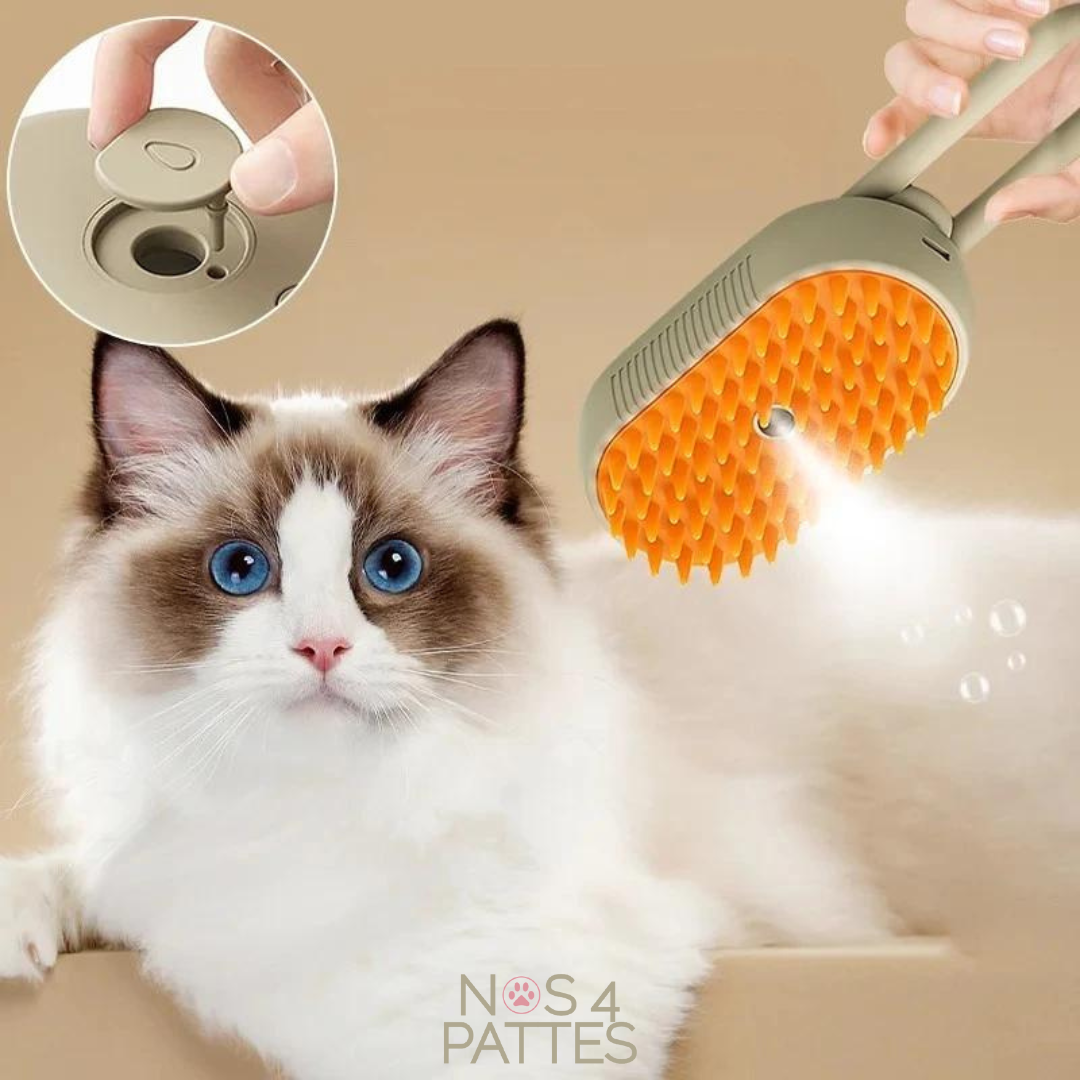 Brosse à vapeur pour chat et chien – Nos 4 pattes